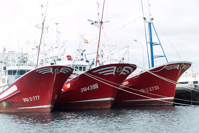 Mientras continúa el conflicto de las licencias de pesca el Frente Polisario se saca de la manga ...